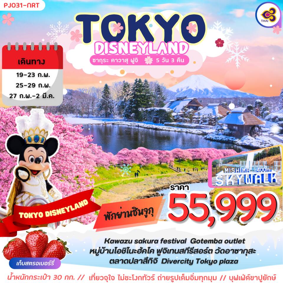 ทัวร์ญี่ปุ่น เมืองชิบะ, โตเกียว, ยามานาชิ, ชิสึโอกะ PJ031-NRT TOKYO DISNEYLAND ซากุระ คาวาสุ การ ...